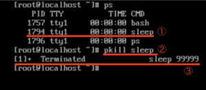 【Linux】指定したプロセスを終了させるコマンド：pkill | Marusuke's Blog
